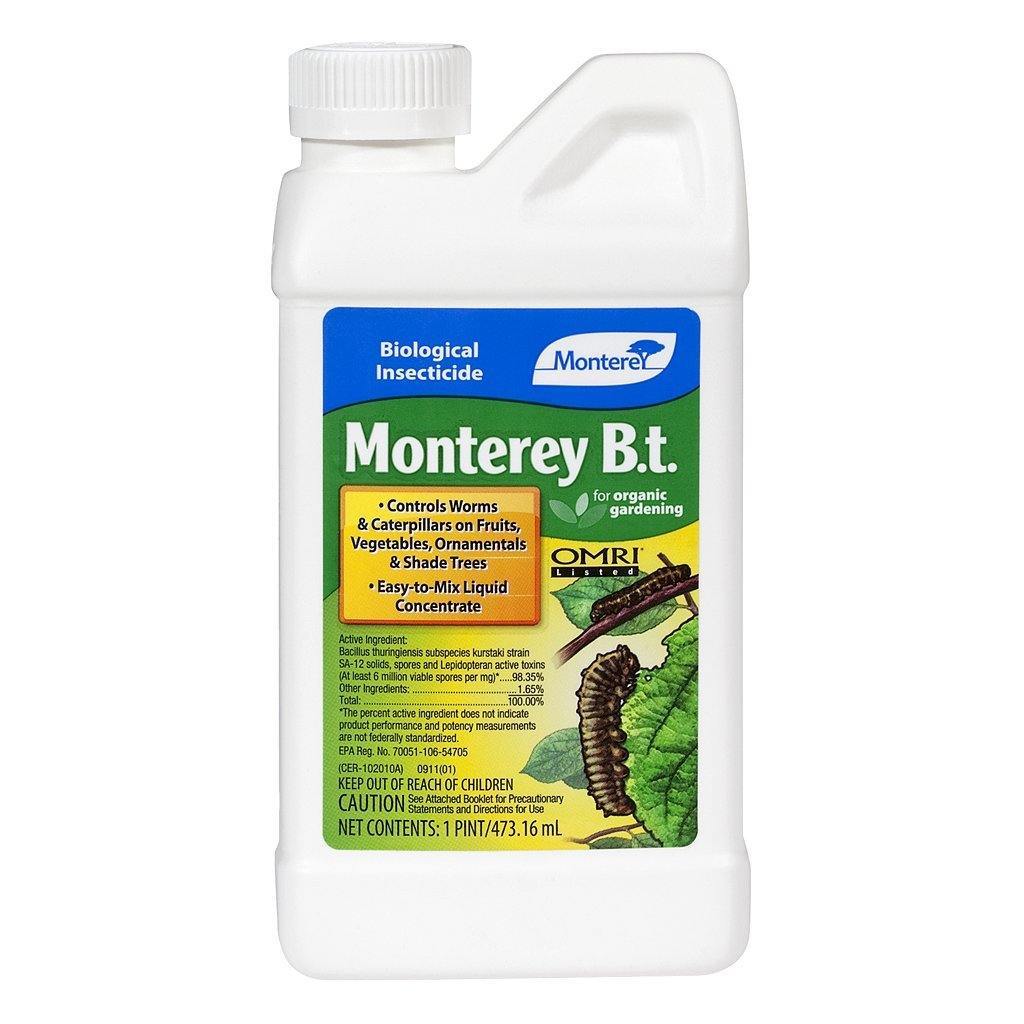 Monterey B.t. Concentrate - Gardin Warehouse